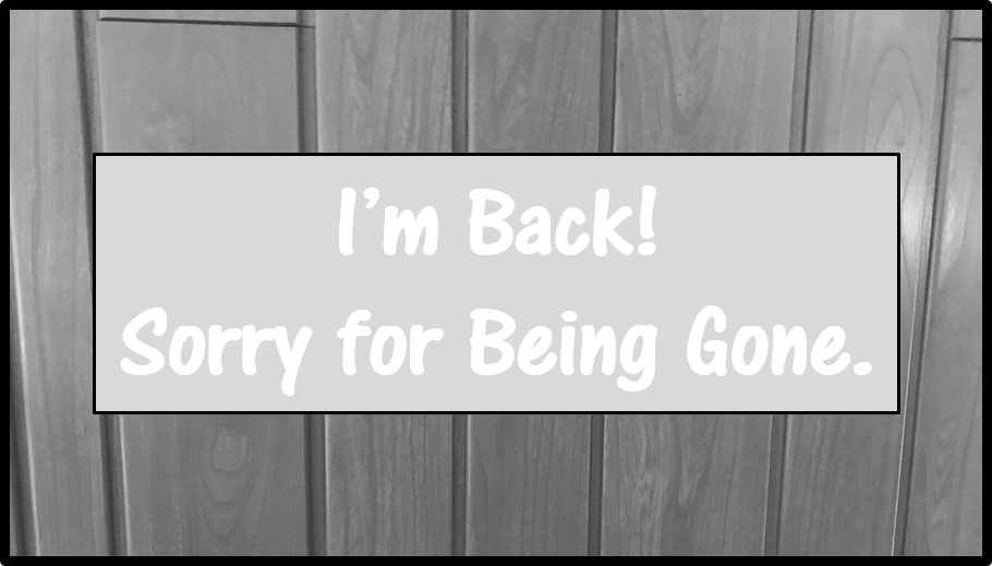 I’m Back! – My Bright Corner